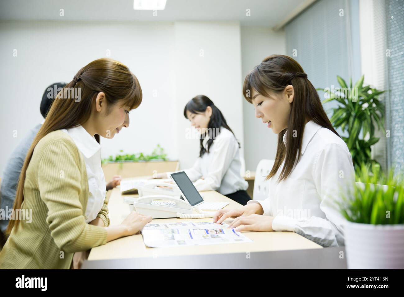 Staff and customers at the counter Stock Photo - Alamy