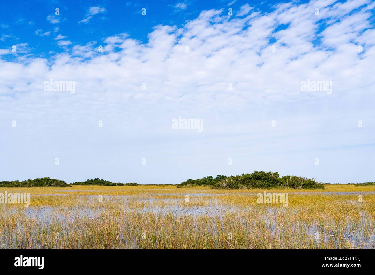The Swamp land at Everglades National Park, Florida, United States ...
