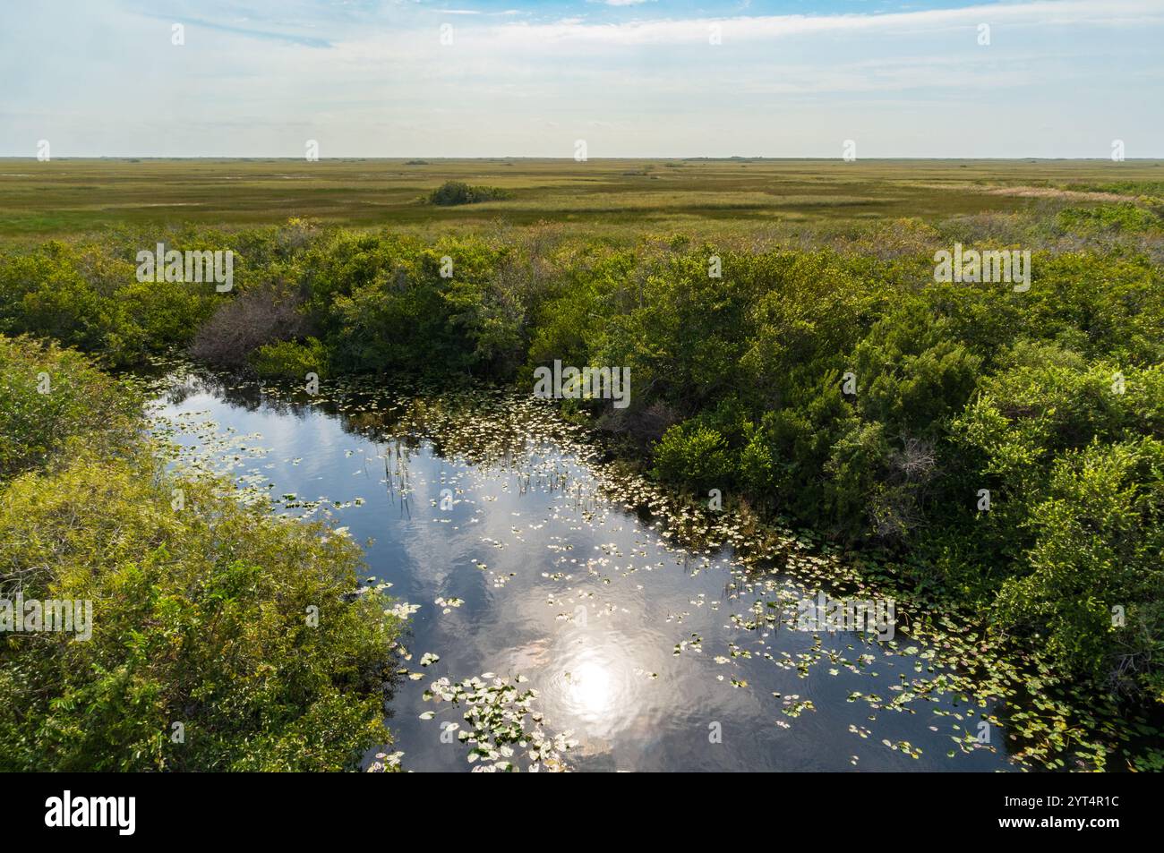 The Swamp land at Everglades National Park, Florida, United States ...