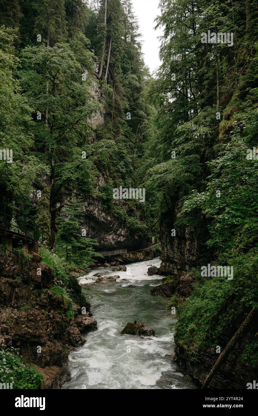 Breitachklamm Gorge - Wild Alpine Canyon in AllgÃ¤u, Germany Stock ...