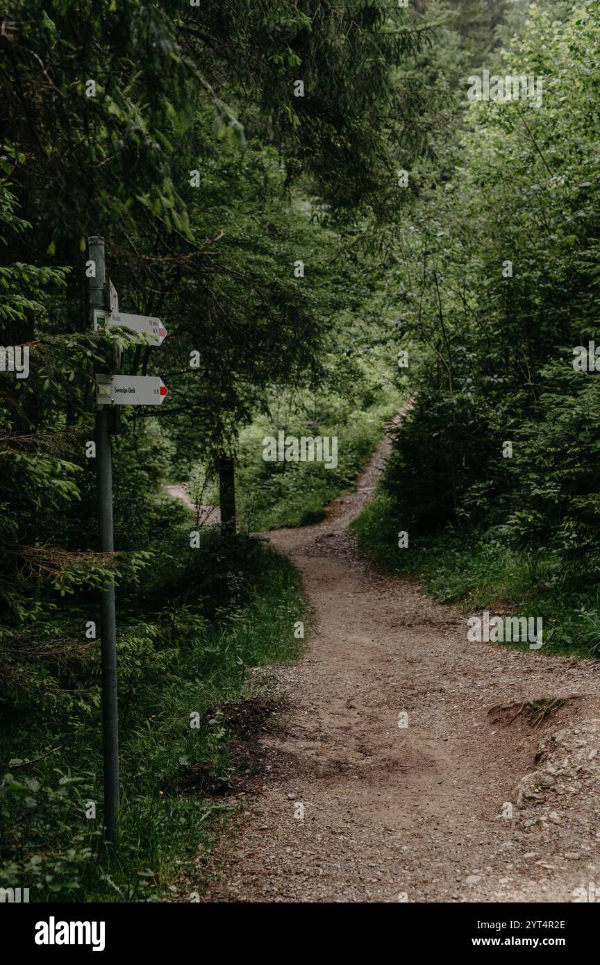 Forest trail signage hi-res stock photography and images - Alamy