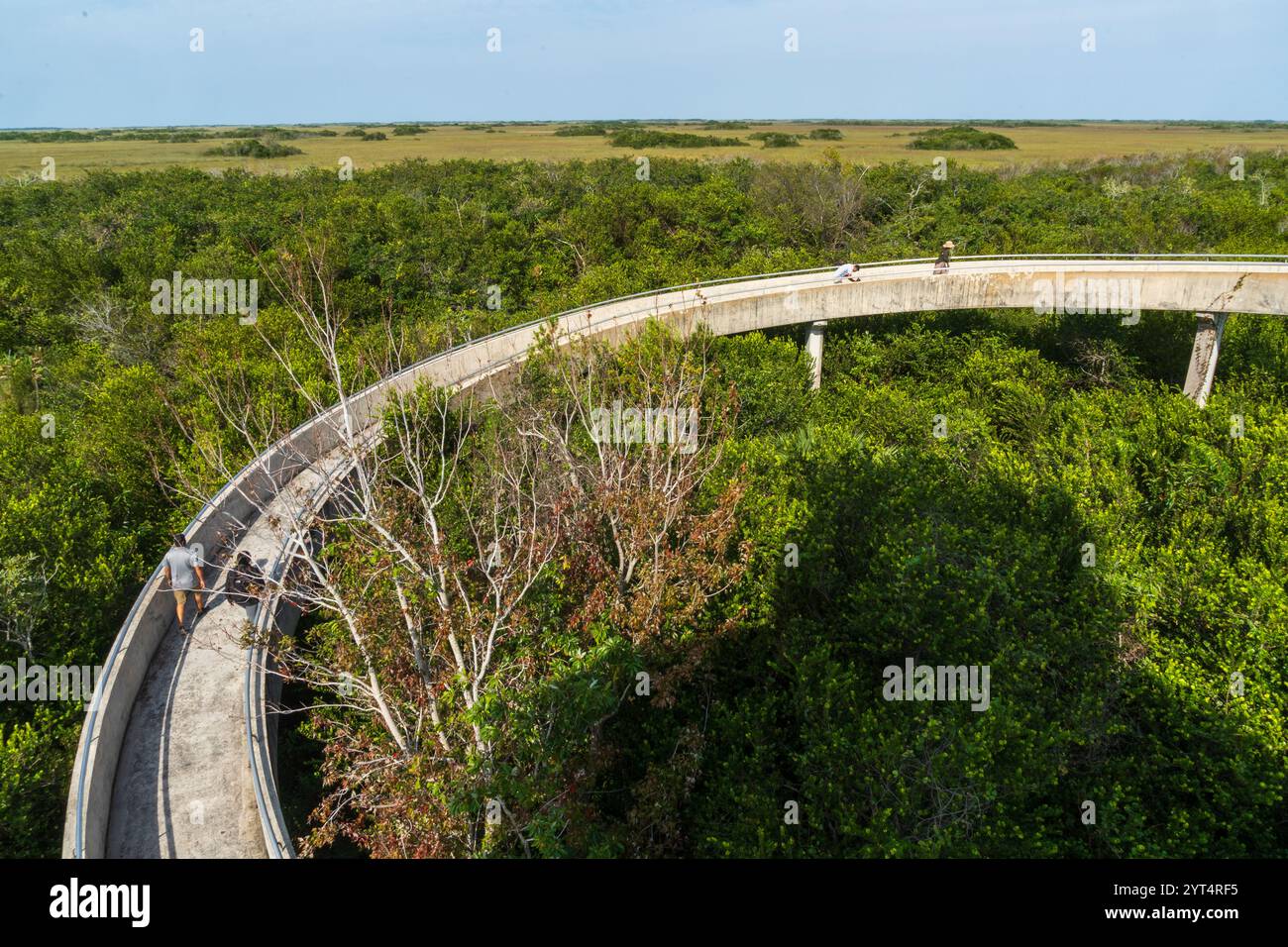 The Shark Valley observation tower, Everglades National Park, Florida ...