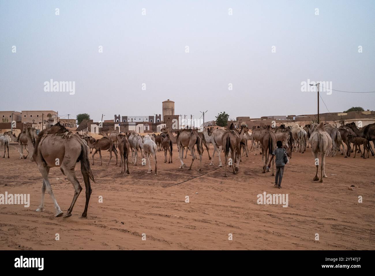 Nicolas Remene/Le Pictorium - Chinguetti buried by desert sand - 08/07 ...