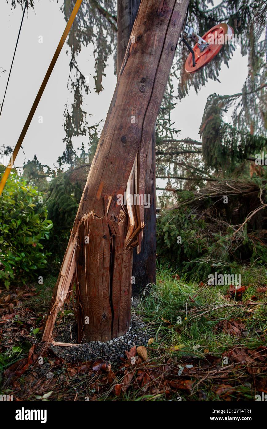 Wooden utility pole broken by windstorm Stock Photo - Alamy