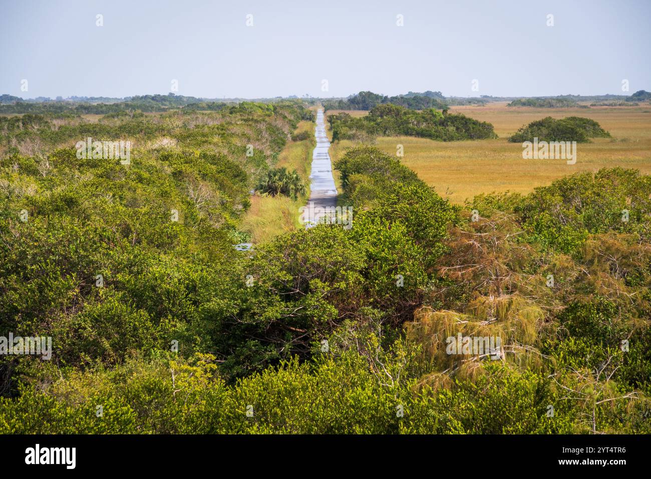 The Swamp land at Everglades National Park, Florida, United States ...