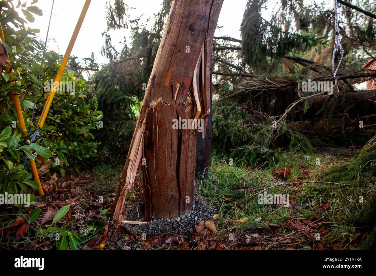 Wood fracture hi-res stock photography and images - Alamy