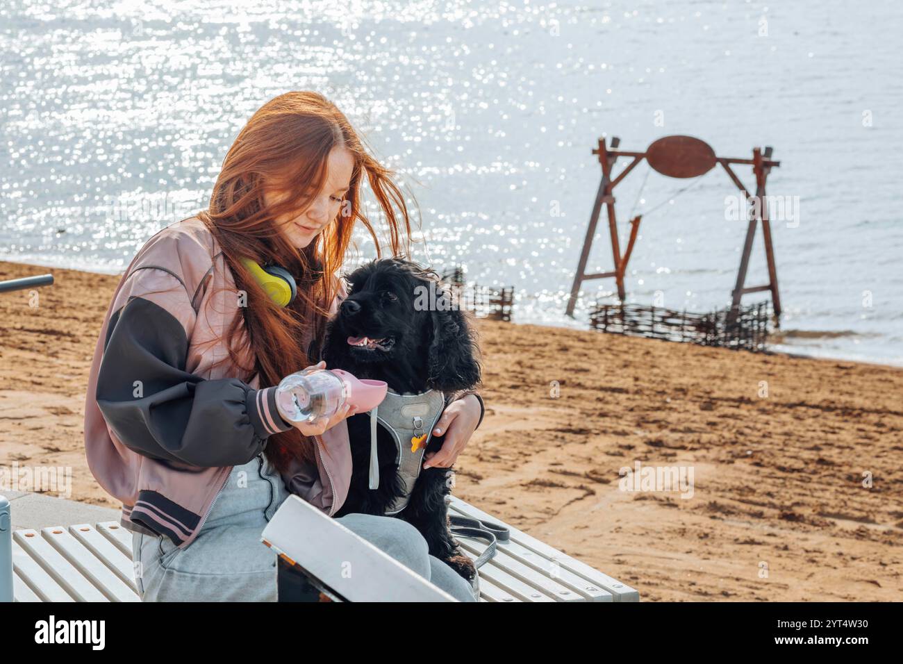 convenient dog drinking bowl, hydration tools for pet outdoor Stock ...