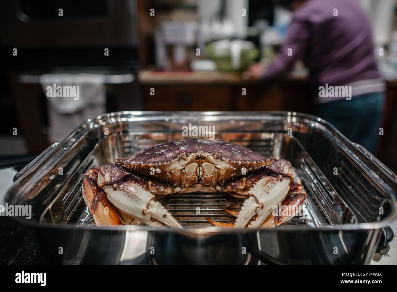 Kitchen broiler hi-res stock photography and images - Alamy