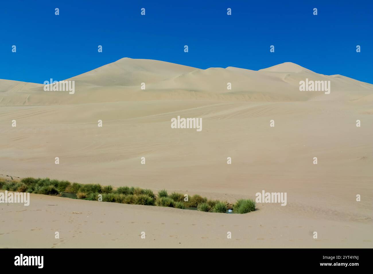 Oasis Huacachina in the desert of Peru. South America landscape sights ...