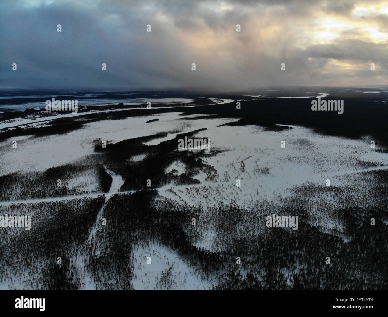 Icy forest photography hi-res stock photography and images - Alamy