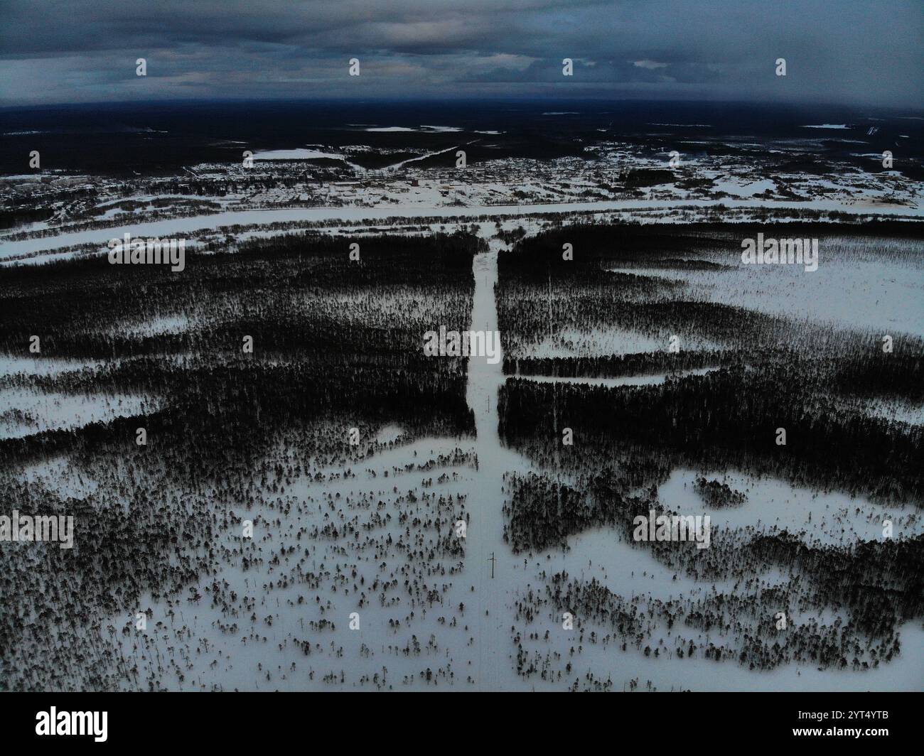 Deep forest panorama hi-res stock photography and images - Alamy