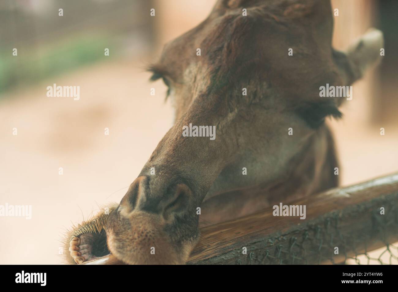 Zoom out shot hi-res stock photography and images - Alamy