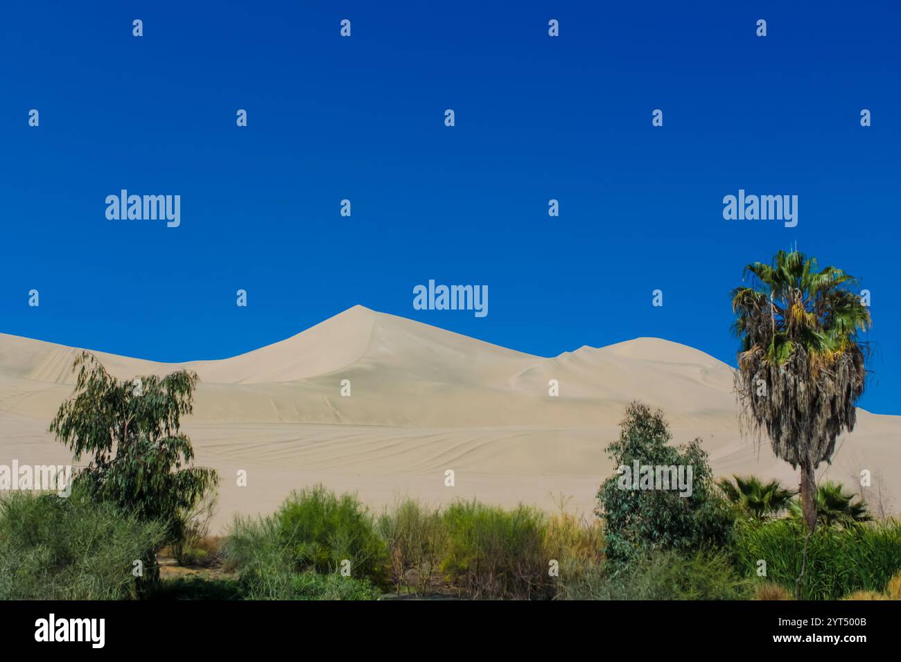 Oasis Huacachina in the desert of Peru. South America landscape sights ...