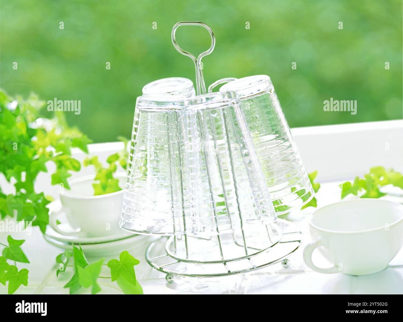 Glass dishwashing hi-res stock photography and images - Alamy