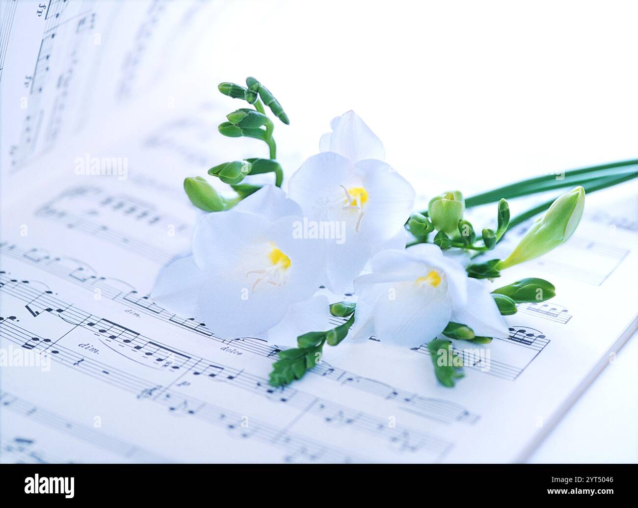 Musical score lyrics hi-res stock photography and images - Alamy