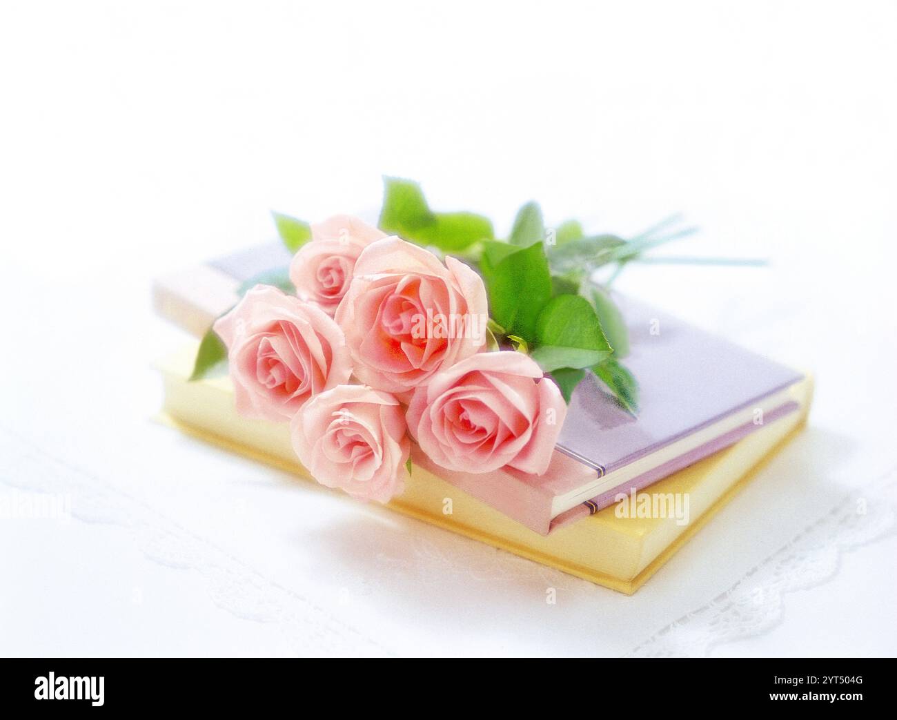 Book and rose Stock Photo - Alamy