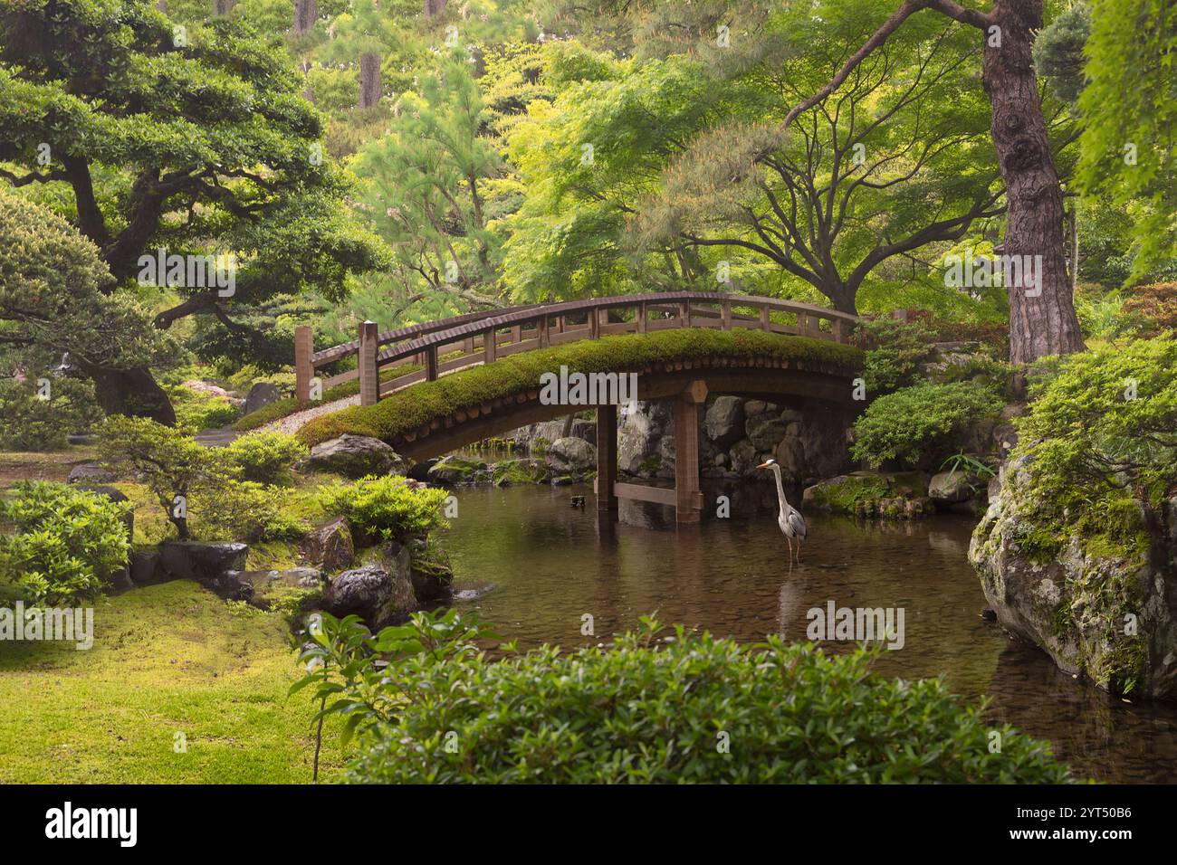 Kyoto imperial palace in spring Stock Photo - Alamy
