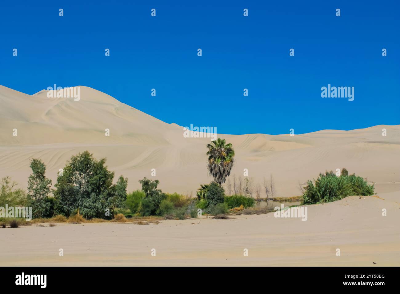 Ica city peru hi-res stock photography and images - Alamy