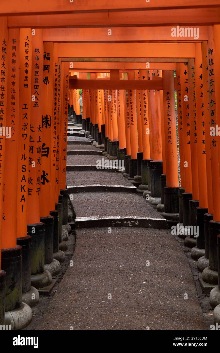 Thousand torii Fushimi Inari shrine at Kioto Stock Photo - Alamy