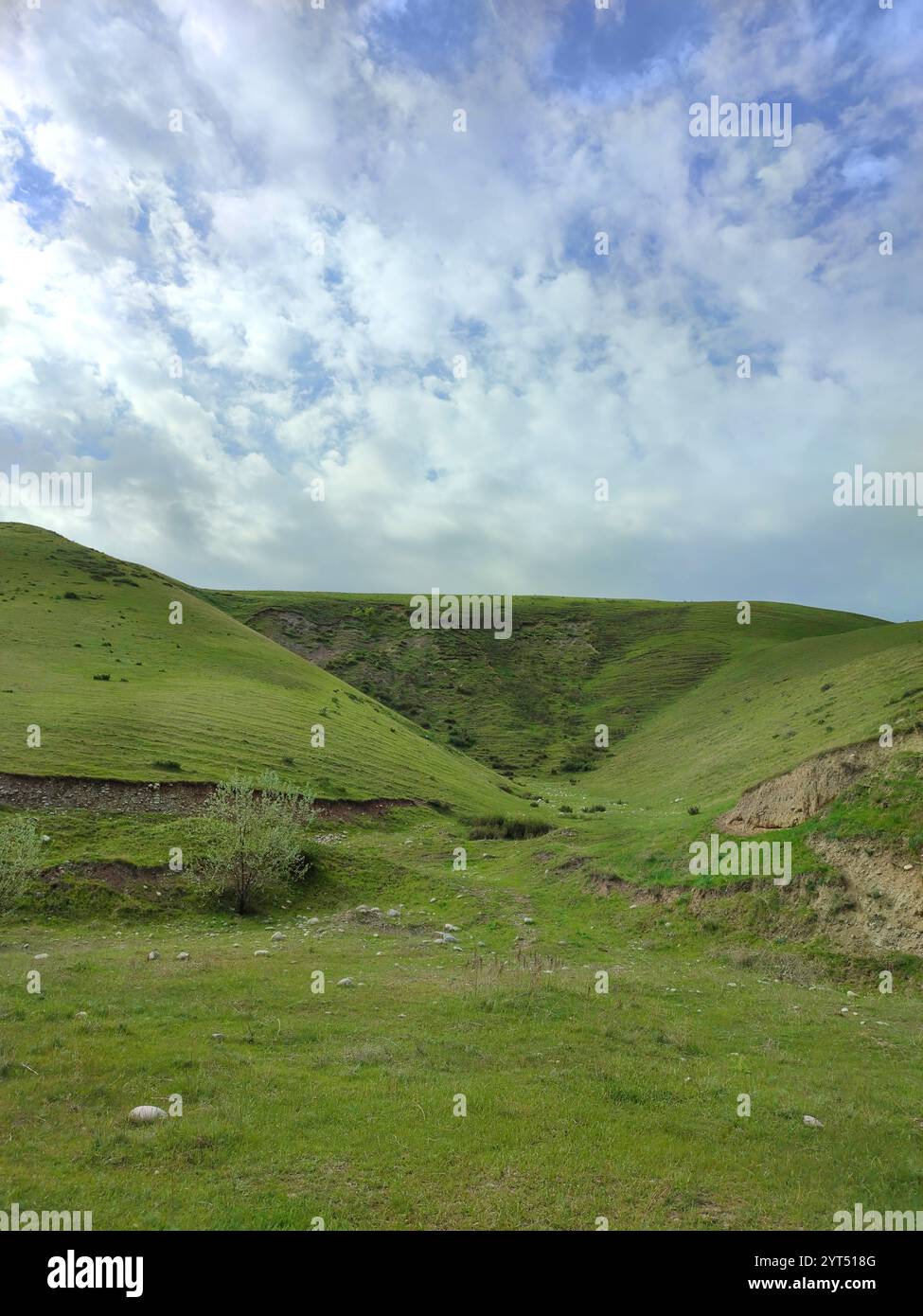 Green grassy hills with downhill slope. Landscape. Mountain pasture ...