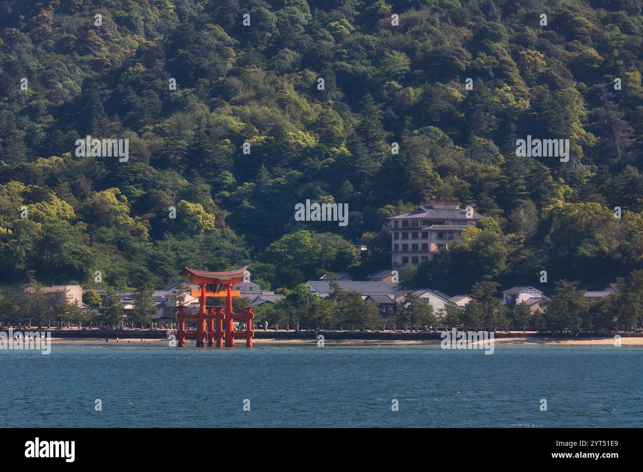 Torii in the water at itsukushima shrine Stock Photo - Alamy