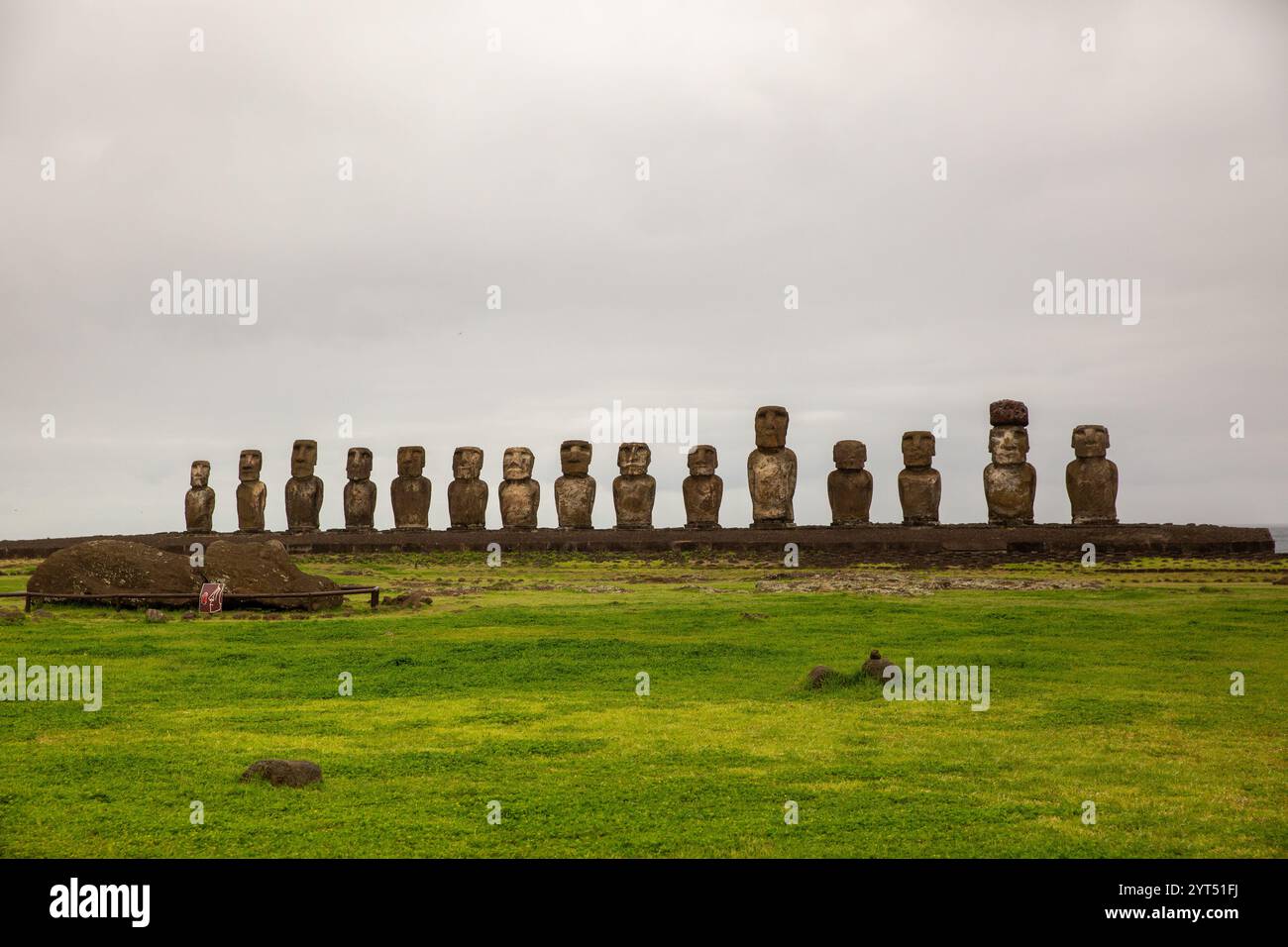 A lineup of Moai statues on Easter Island stands proudly, representing ...