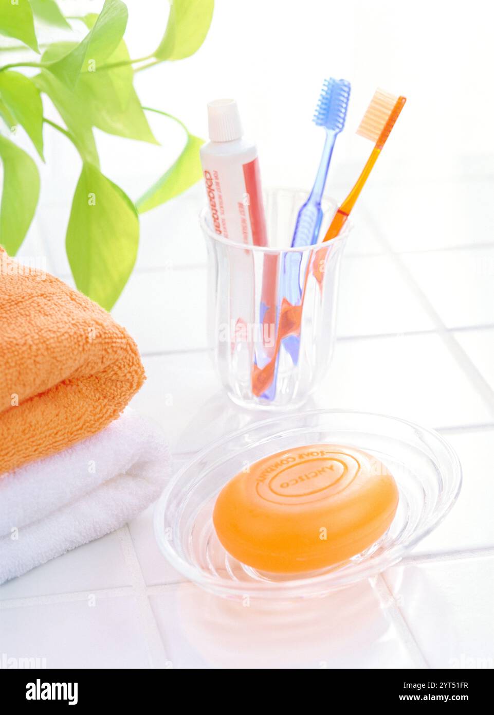 2 toothbrushes and soap Stock Photo - Alamy