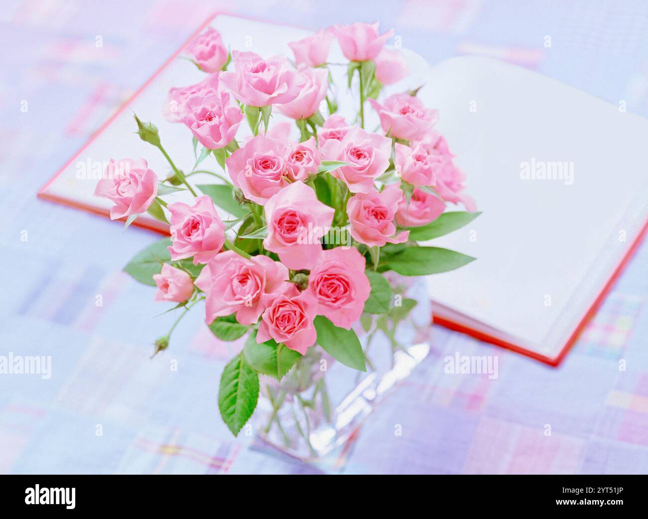 Cute pink note book hi-res stock photography and images - Alamy