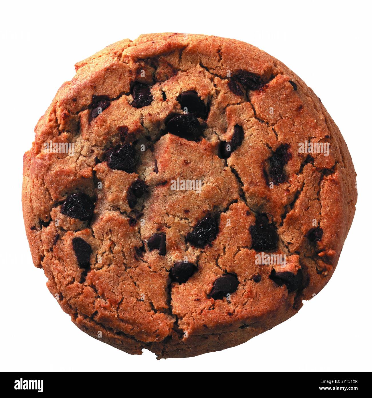 Fresh Gourmet Chocolate Chip Cookie Stock Photo - Alamy