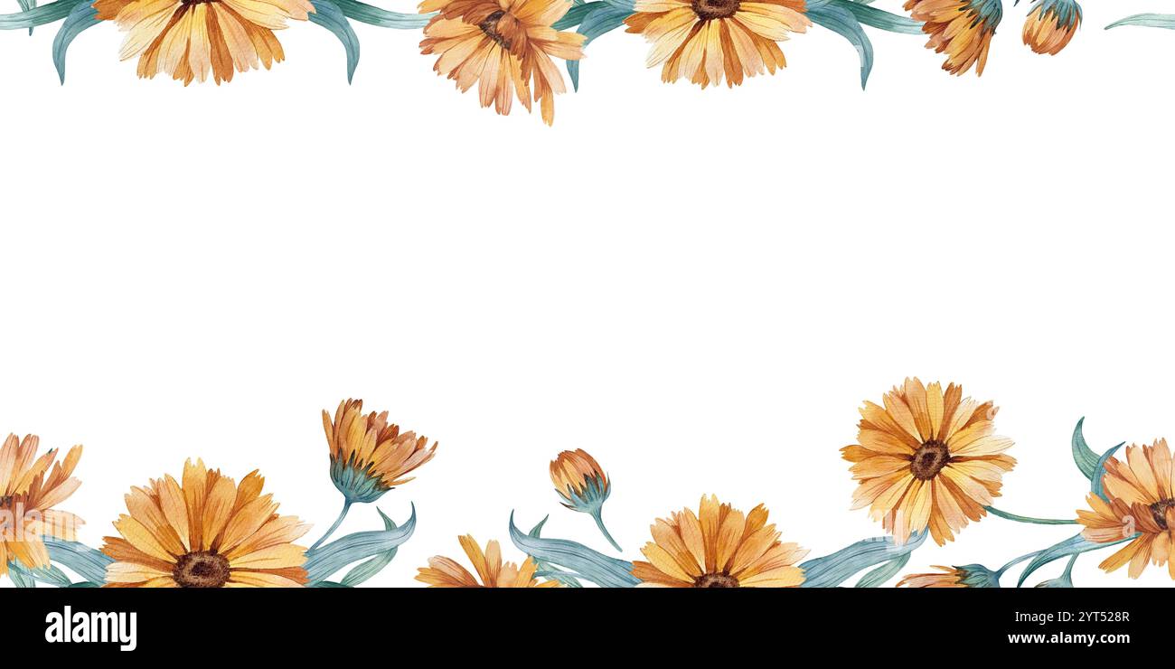 Garden boreder hi-res stock photography and images - Alamy