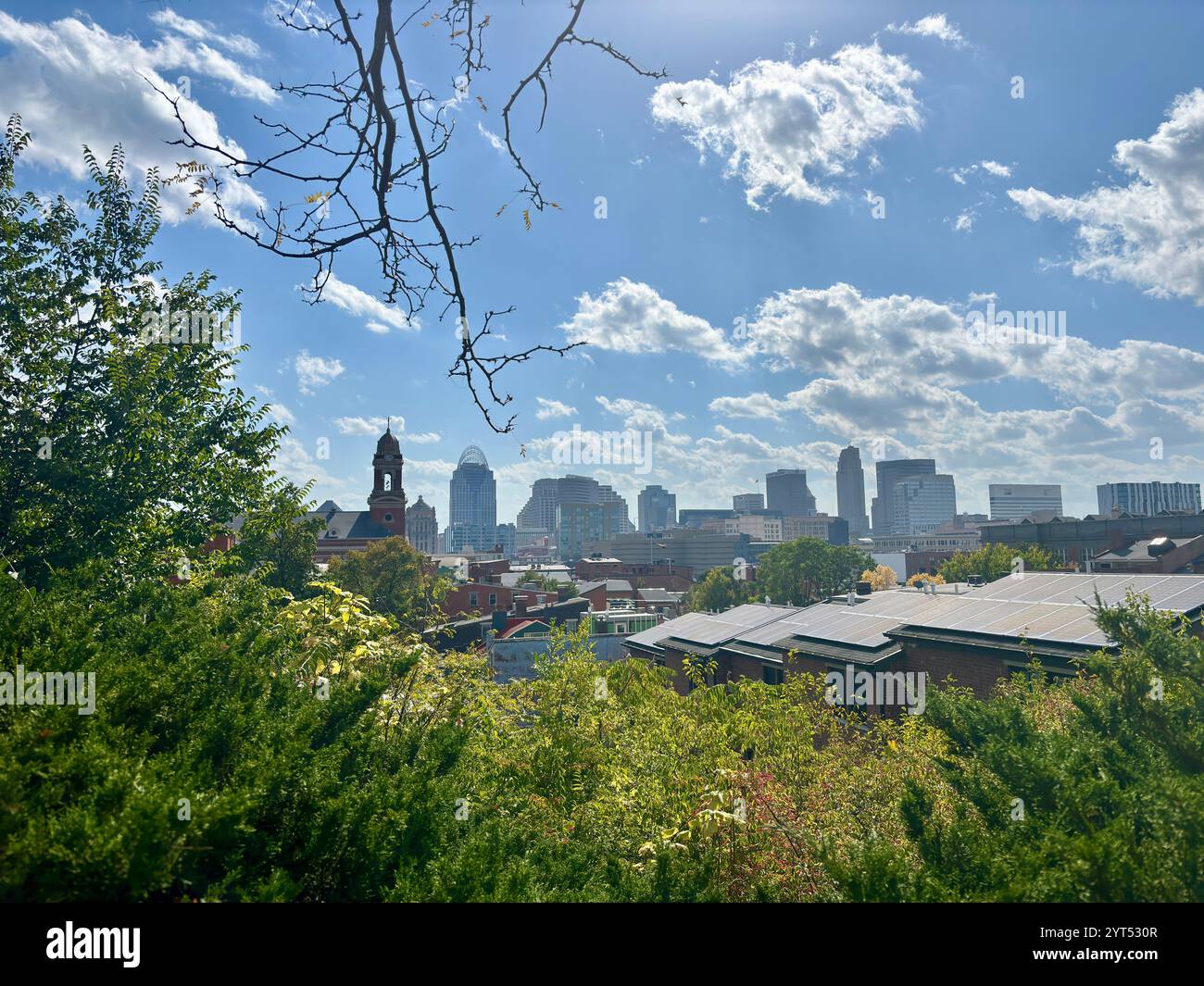 Cincinnati skyline skyline emerges from behind a lush canopy of trees ...