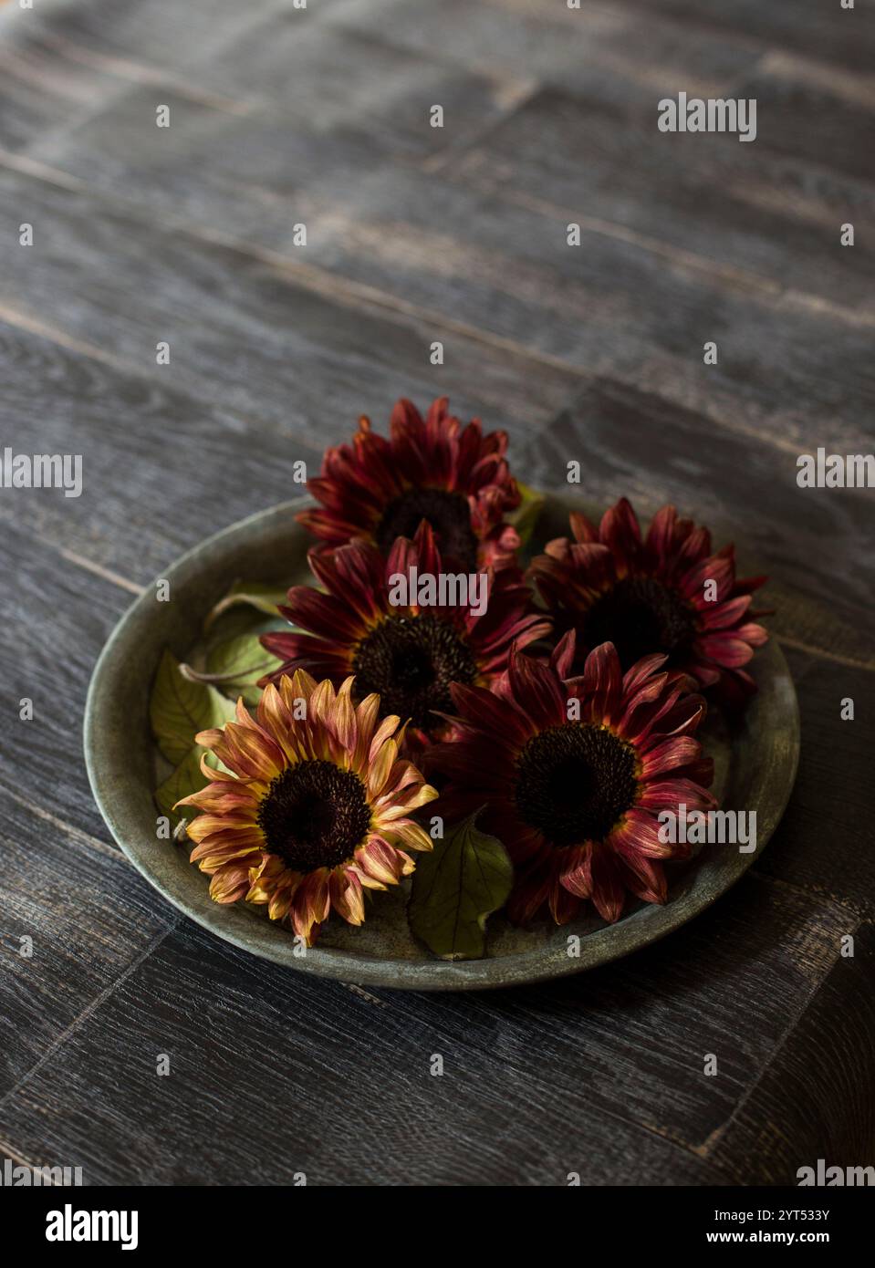 Coloured chic hi-res stock photography and images - Alamy