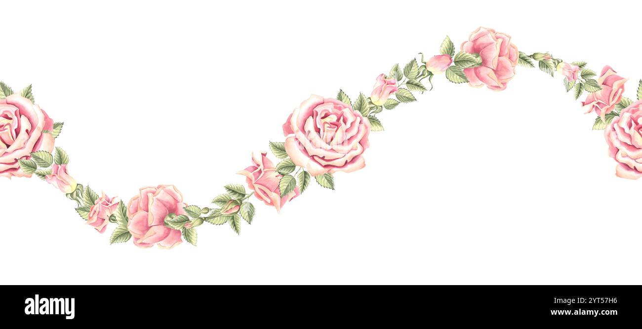 Flowers of roses with buds and leaves. Wavy seamless border. Hand drawn ...