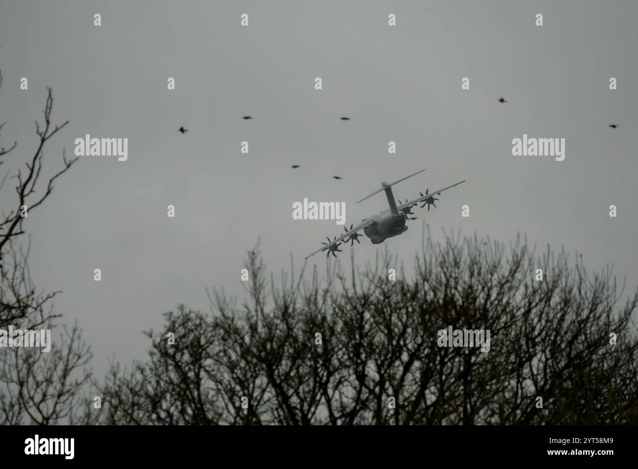 ZM401 RAF Royal Air Force Airbus C.1 A400M Atlas military cargo plane ...