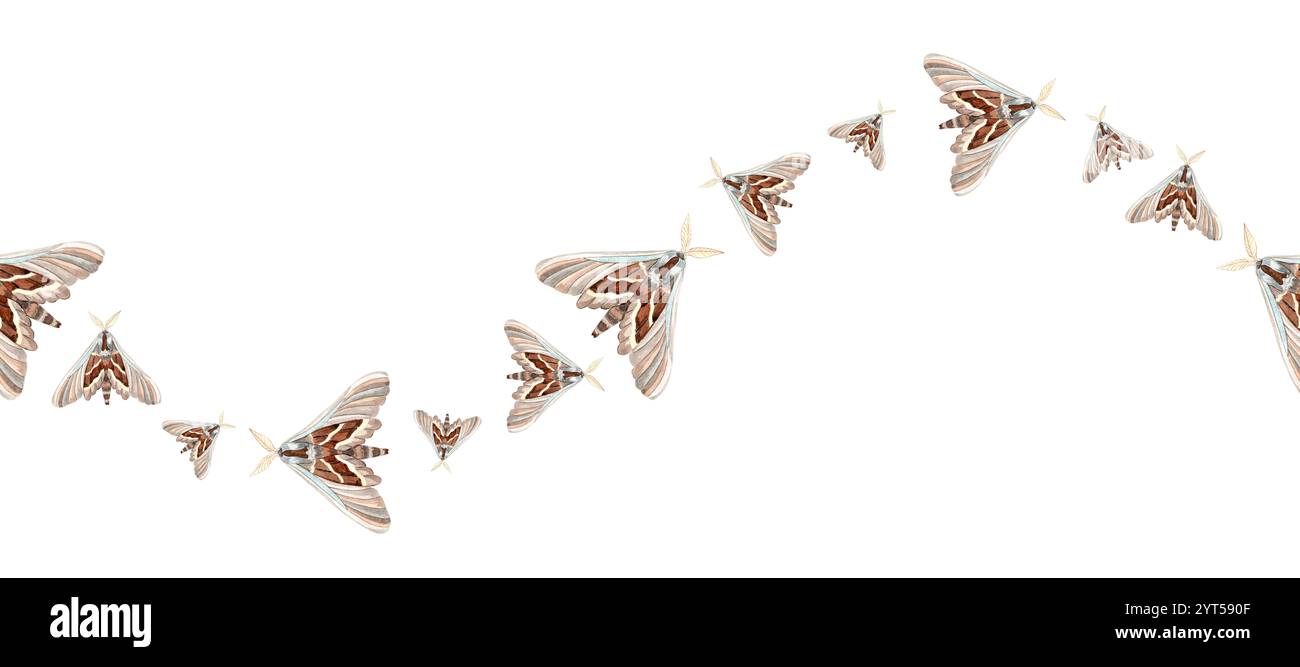 Moths, insects. Butterflies delicate with wings flutter. Wavy seamless ...