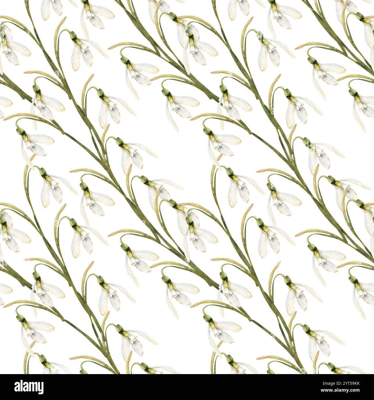 White spring flowers seamless pattern with fresh white snowdrops ...
