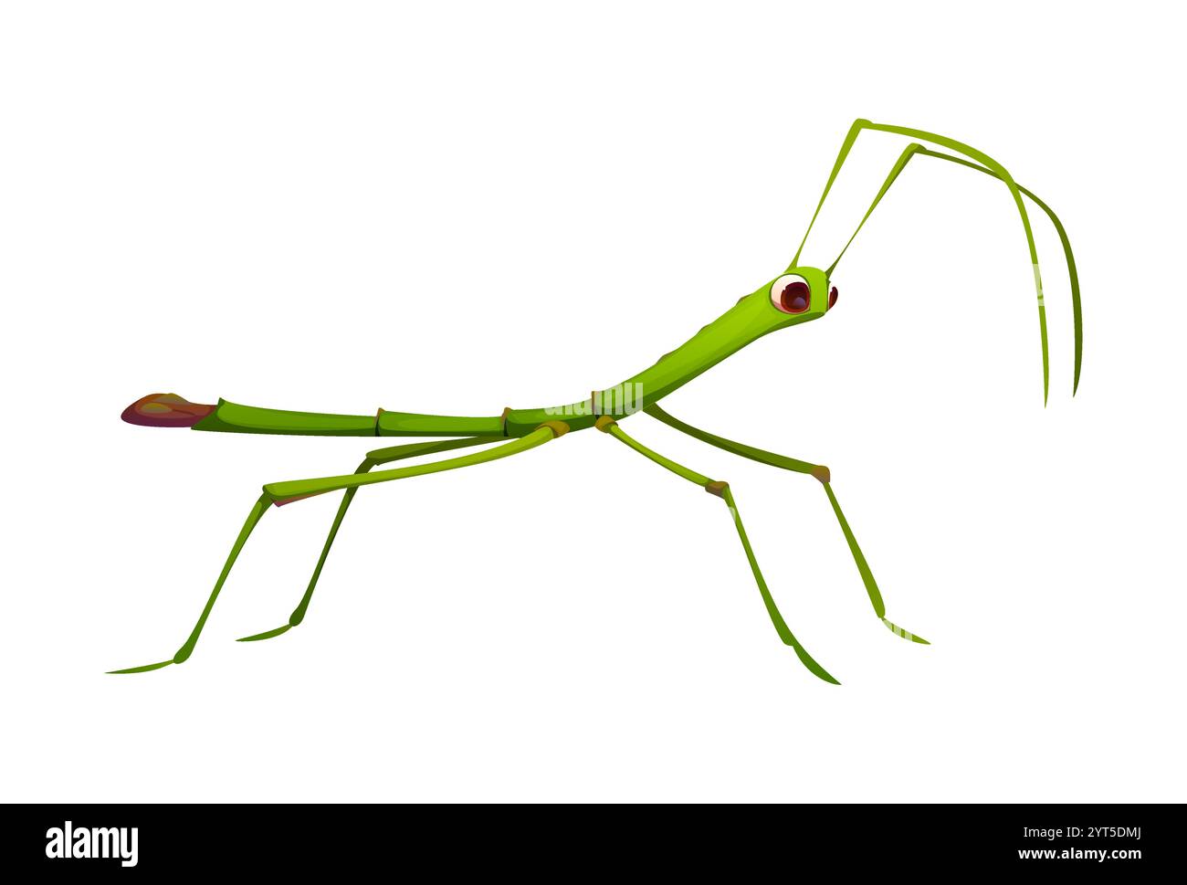 Cartoon funny stick insect character with exaggerated limbs and vibrant ...