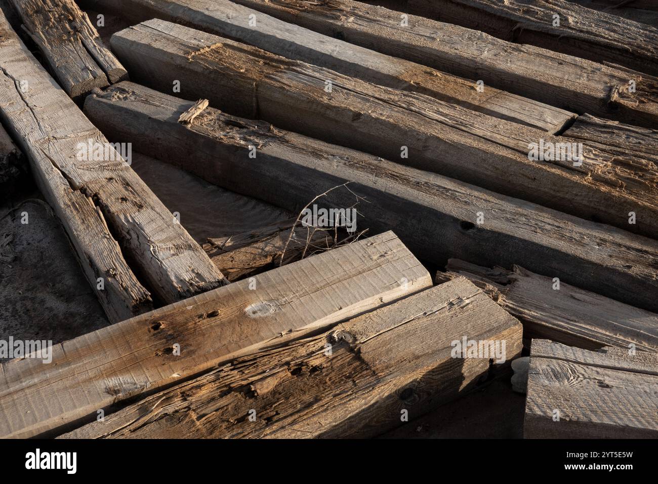Detailed texture of old timber beams exposed to sunlight, showcasing ...