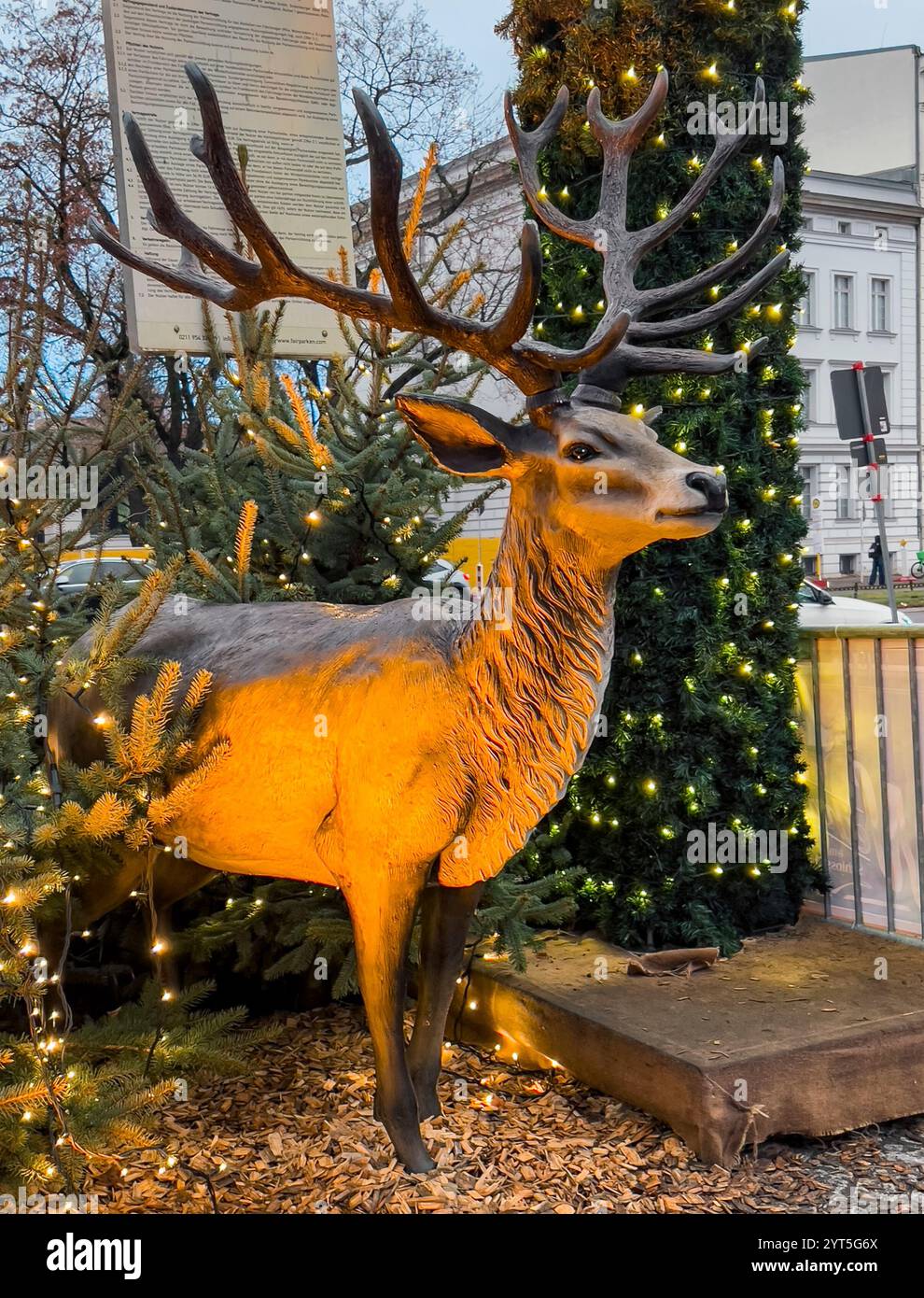 Reindeer at Christmas Market at Schloss Charlottenburg, Berlin, Germany ...