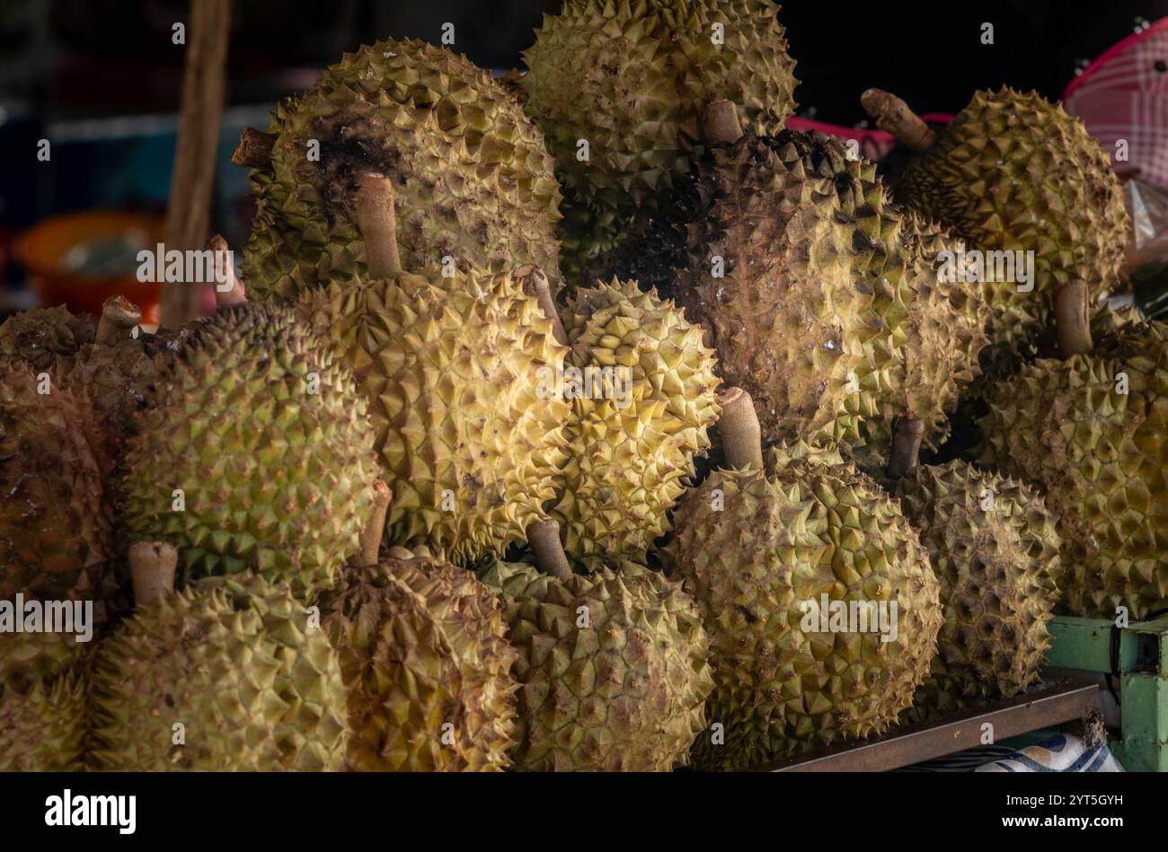 A farmer stall at the Kep market in Cambodia selling durian fruits ...
