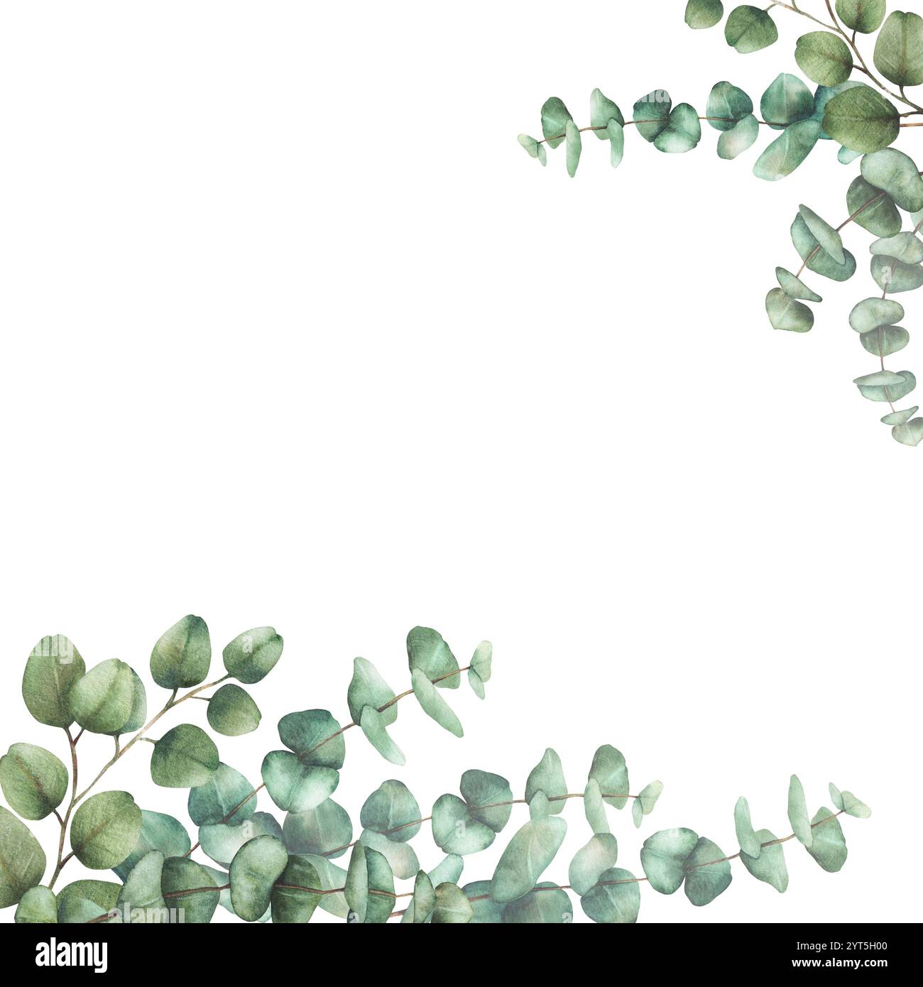 Eucalyptus plant square frame Greenery Watercolor arrangement Green ...