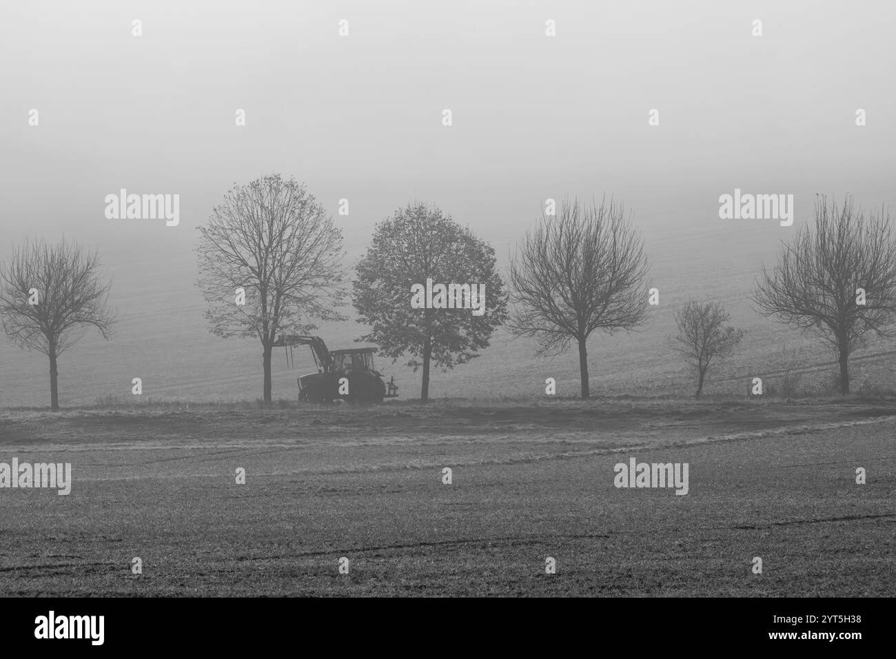 Tractor in the fog on a path between trees Stock Photo - Alamy