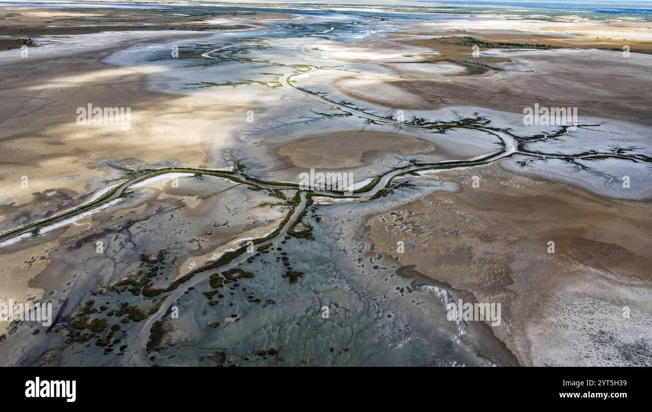 An expansive aerial view showcases a vast marshland, featuring winding ...