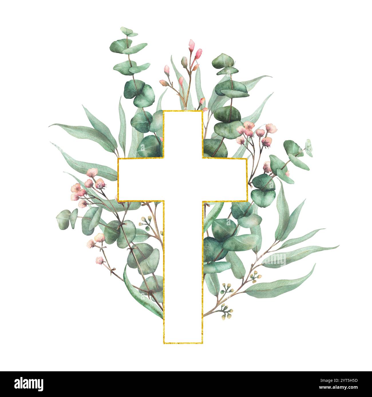 Eucalyptus gypsophila branches white Cut Out Stock Images & Pictures ...