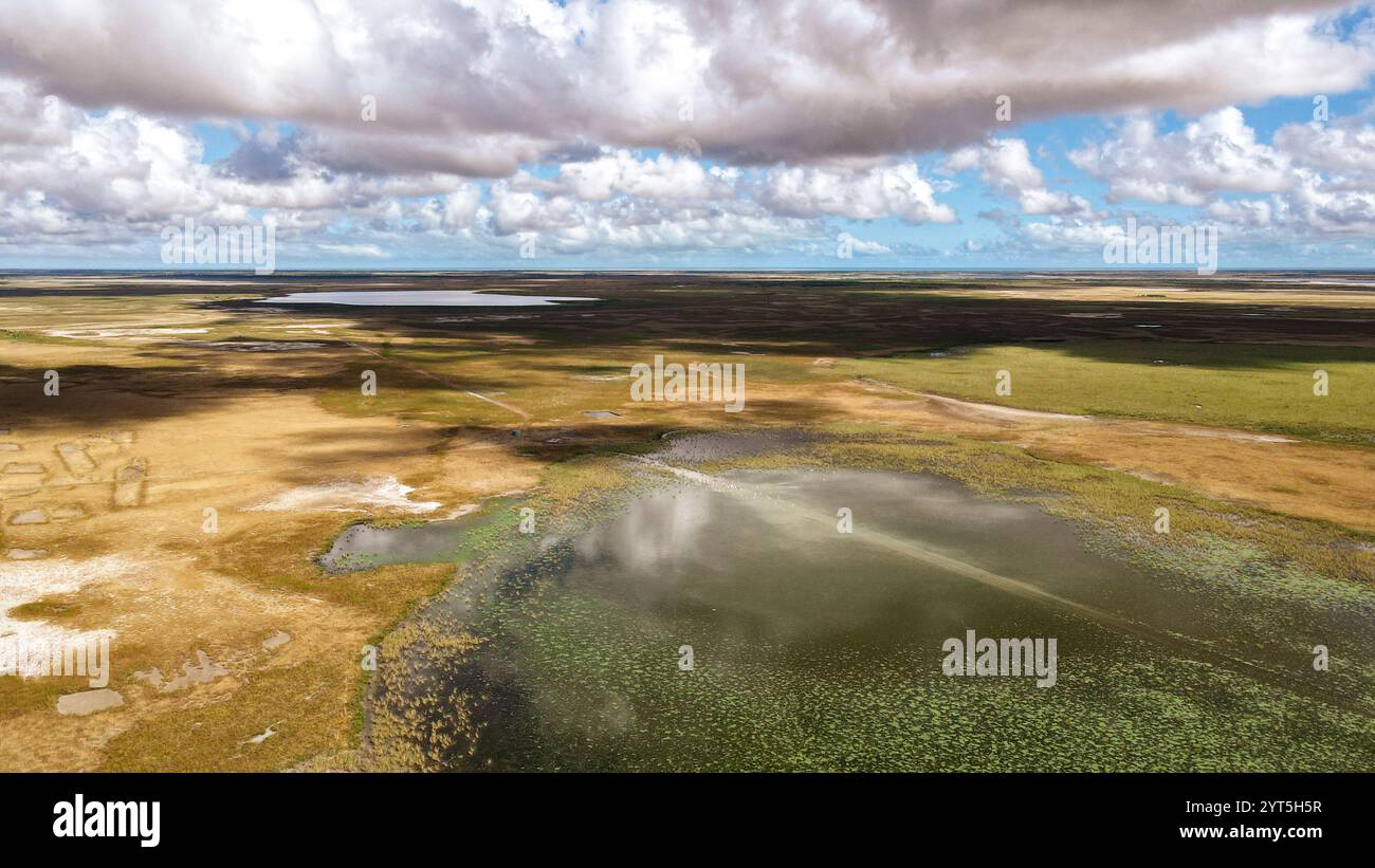 An aerial view showcasing a sprawling swamp beneath a cloudy sky Stock ...