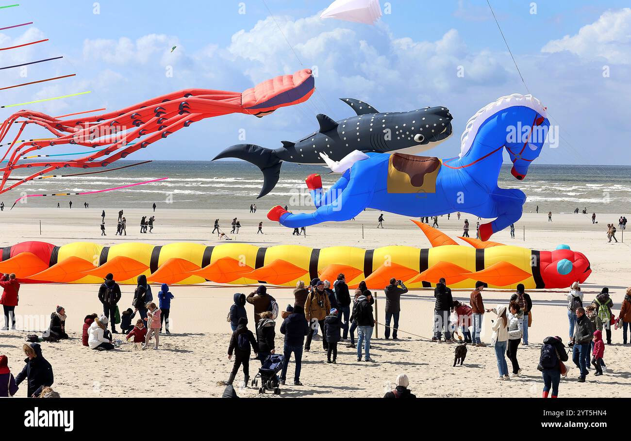 Berck-sur-Mer (northern France):37th Berck International Kite Festival ...