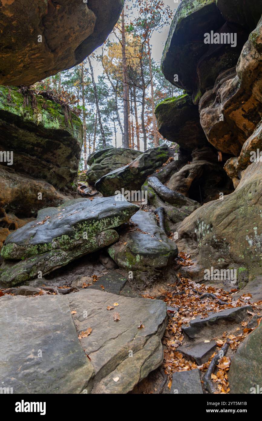 Stunning sandstone rock formations in Poland, surrounded by a dense ...
