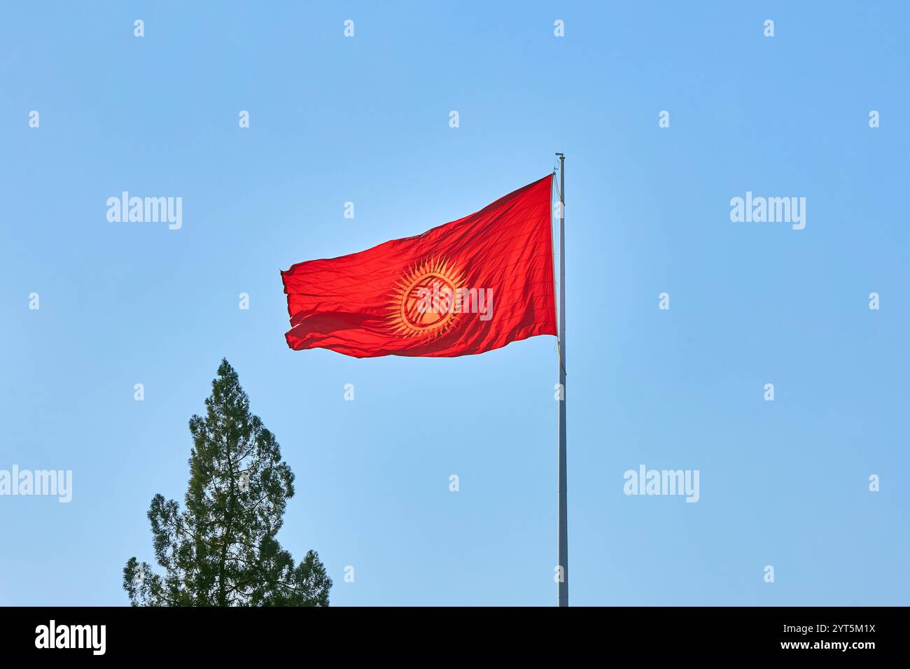 Kyrgyzstan updated flag flutters against the clear blue sky. Waving red ...