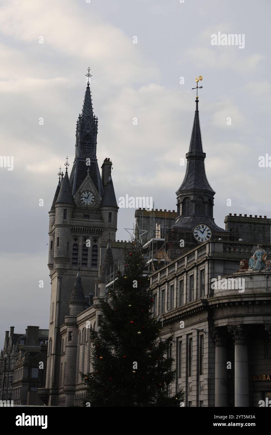Aberdeen tree hi-res stock photography and images - Alamy