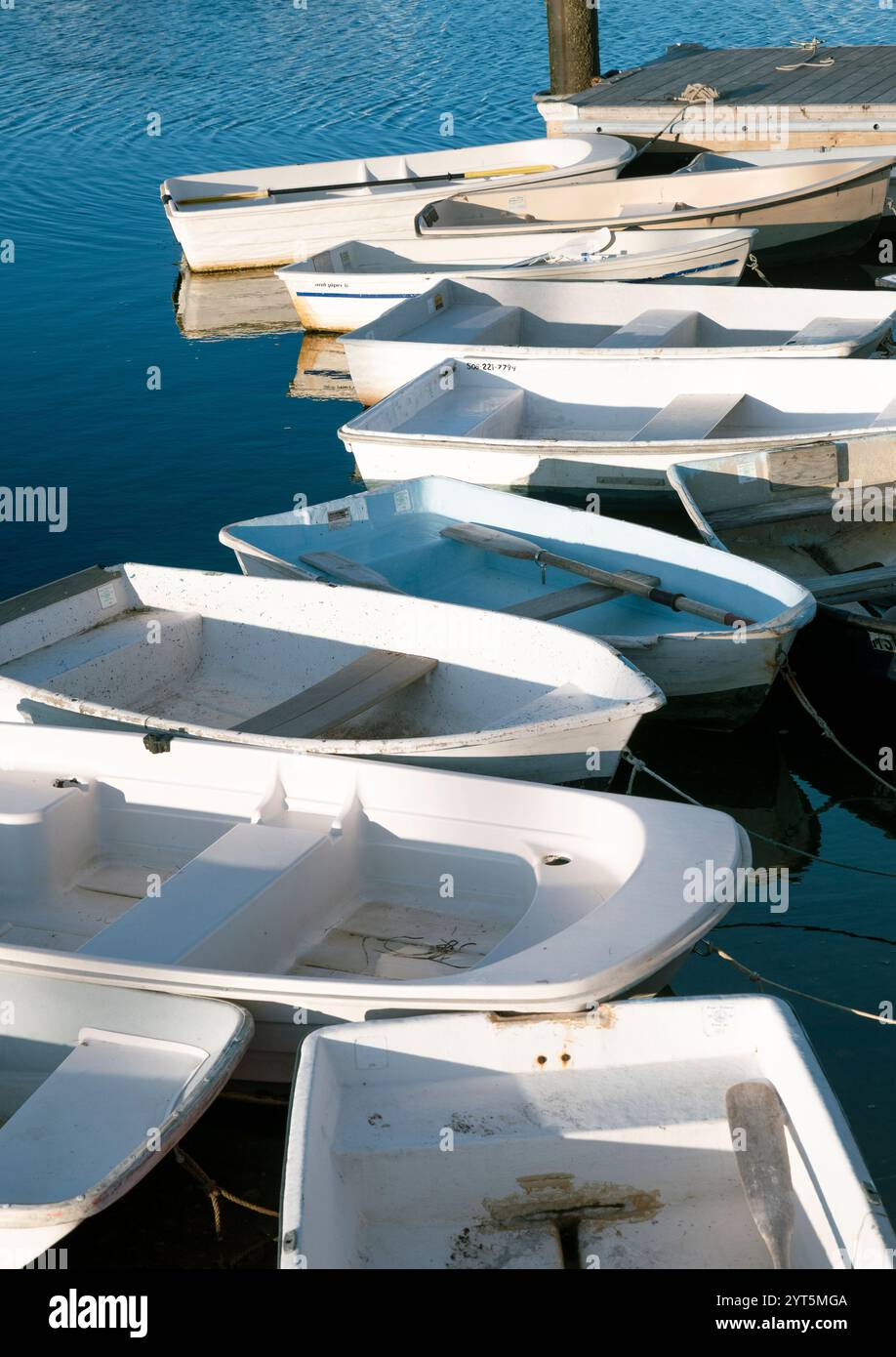 Rowboats tethered to a dock Stock Photo - Alamy
